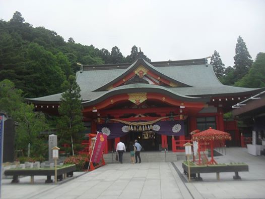 Towards A Predictive Model Of An Evolutionary Swarm Robotics Algorithm Ingeniarius Ltd